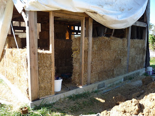 Dan's DR Blog: Straw walls and lime plaster